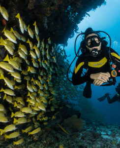 Pearl Dimaniyat diving center – Best Scuba Diving & Snorkeling in ...